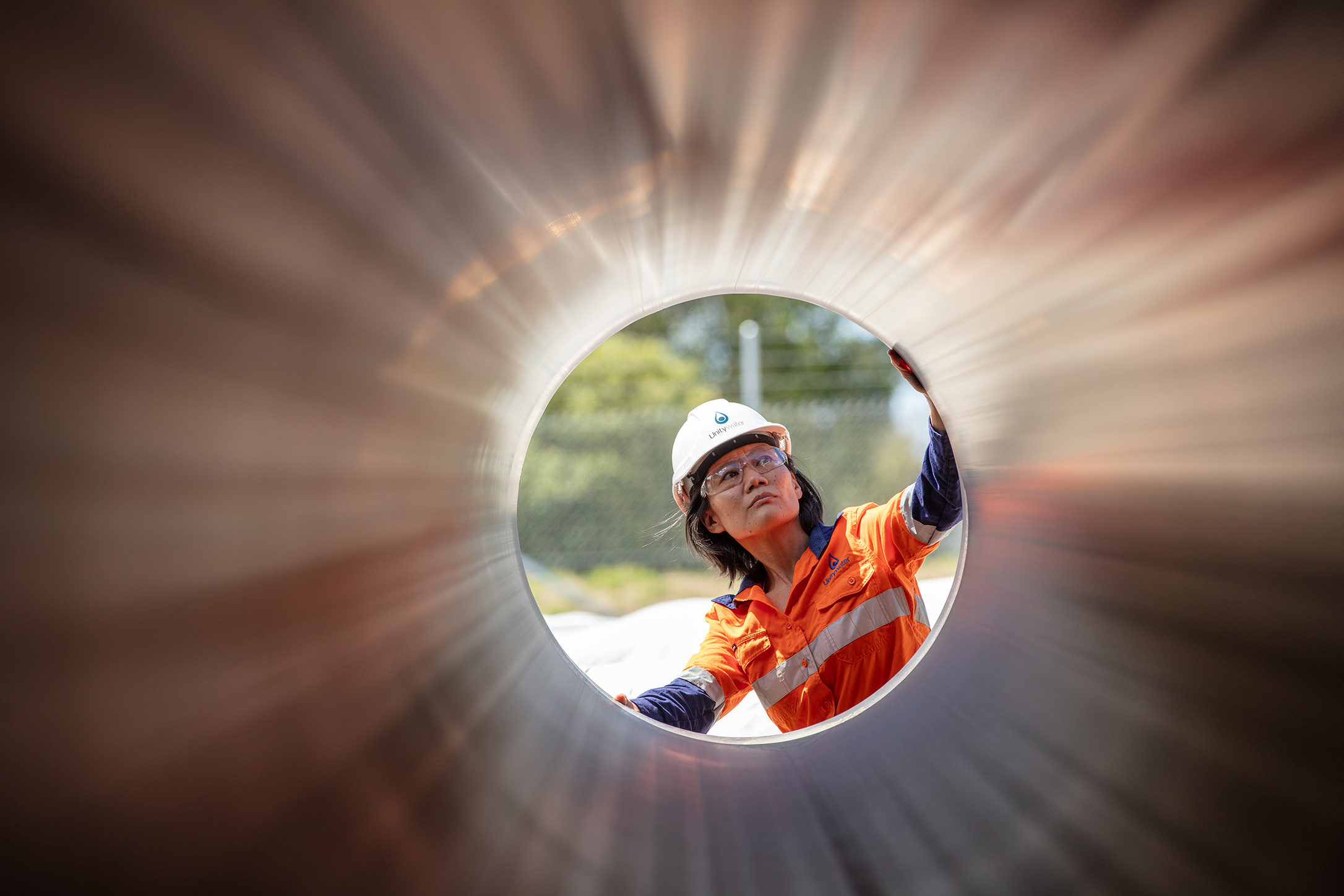 Aura and Harmony Program