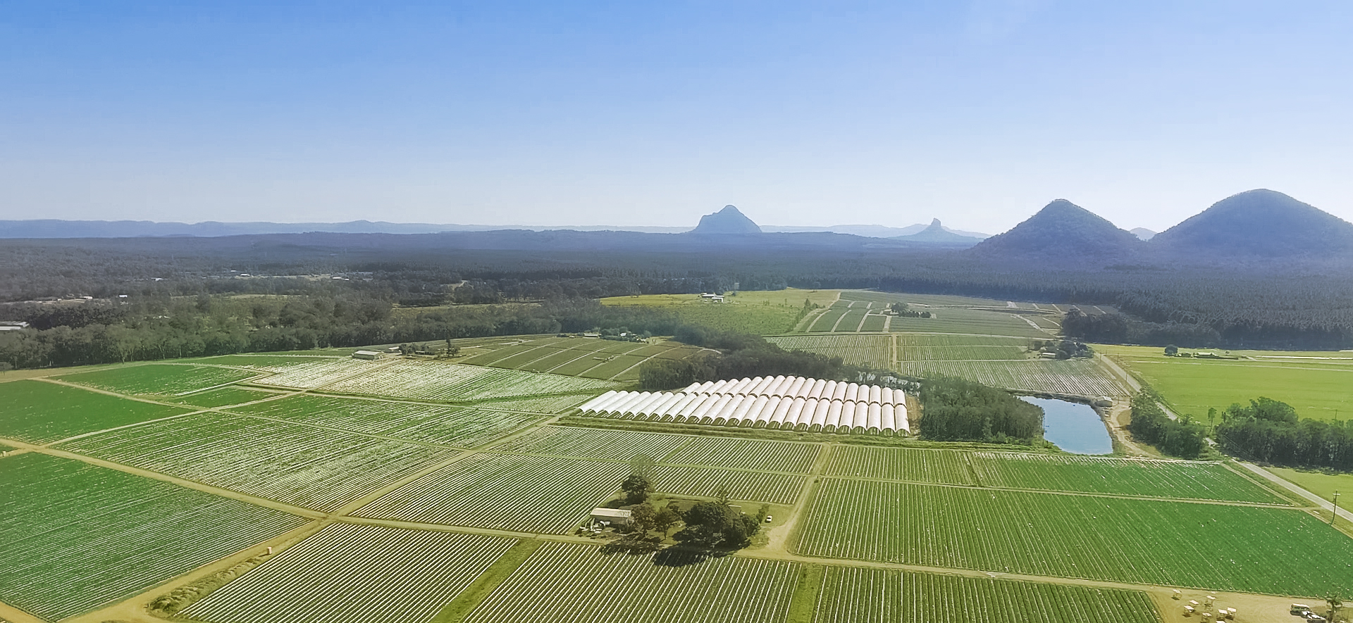 Wamuran Irrigation Scheme